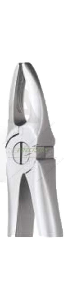 Upper Anterior Extracting Forceps - Human Dentistry